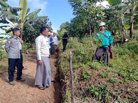 မက်မန်းမြို့၌ မြို့နယ်စီမံအုပ်ချုပ်ရေးအဖွဲ့မှ စံပြစိုက်ခြံများအား ကွင