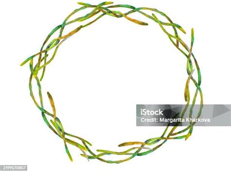 수채화 추상 화환 섬세한 녹색 가지 귀여운 미니멀 그린 서클 프레임 초대장 손으로 그린 라운드 프레임 0명에 대한 스톡 벡터 아트 및 기타 이미지 Istock