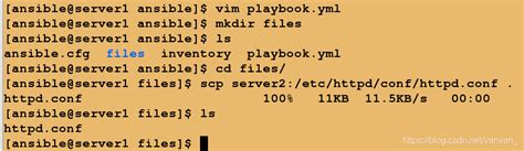 ansible 使用playbook文件运行 playbook运行本地脚本 csdn博客