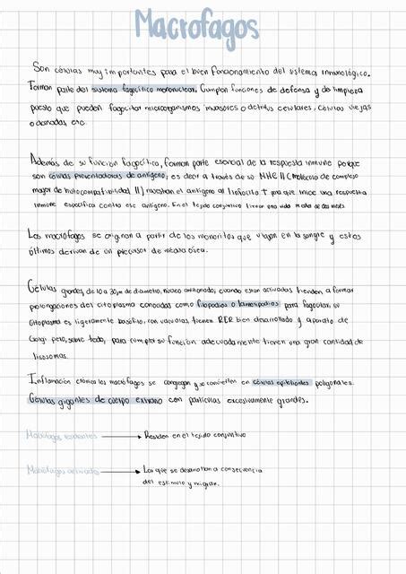 Macrofagos Yoselyne Pérez Udocz