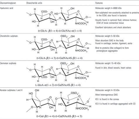 Glycosaminoglycan Structure