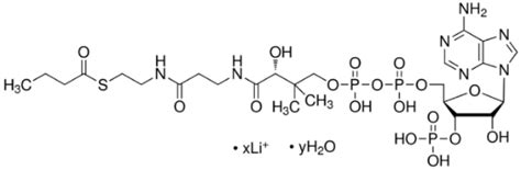 A Butyryl Coenzyme A Lithium Salt Hydrate