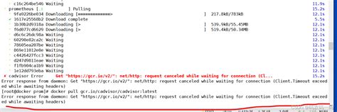 Docker学习笔记（六）prometheuscadvisor搭建容器监控prometheus Cadvisor Csdn博客