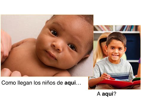 La Asombrosa Transformación Institute For Learning And Brain Sciences