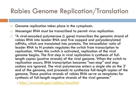 Ppt Rabies Powerpoint Presentation Free Download Id 1958130