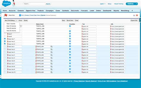 Top 10 Salesforce Chrome Extensions In 2022 Revenue Grid