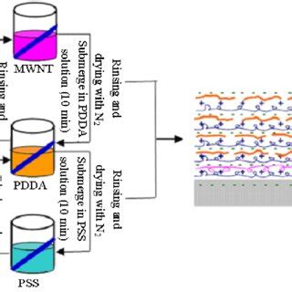 Outline Of Layer By Layer Self Assembly Process Download Scientific Diagram