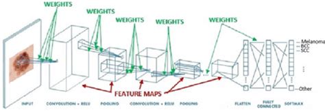 Example Of A Convolutional Neural Network Cnn Convnet Download