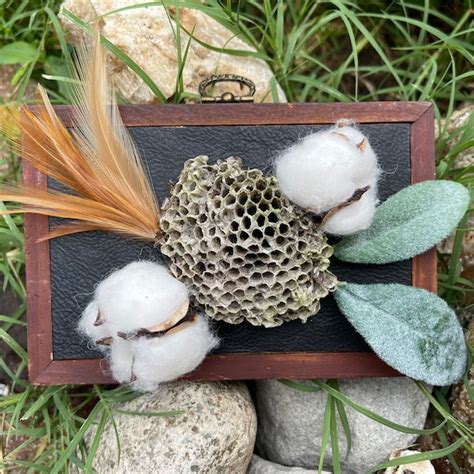 Wasp Nest Etsy