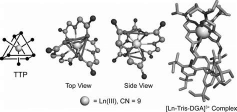 The Model Of An Ideal Tricapped Trigonal Prismatic Ttp Geometry