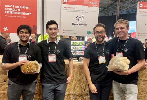 Christopher K On Linkedin Ai Automation Sustainable