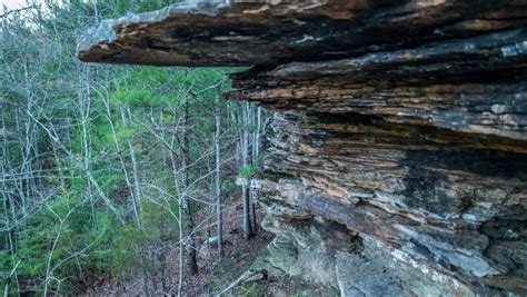 Basic Guide To Interpreting The Geologic Column The Creation Club A