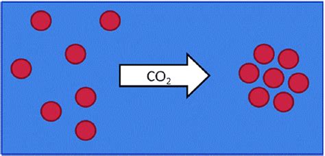 Llustration Of Triggered Particle Aggregation In A Latex Dispersion