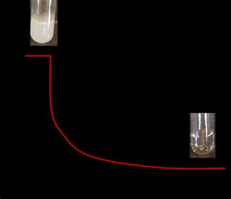 Schematic Representation Of A Turbidimetry Experiment Arrow Indicates Download Scientific