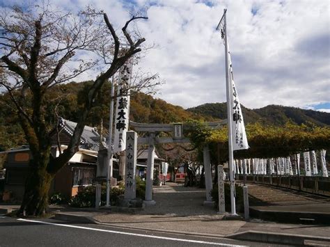 数々伝説がある池② 岐阜ネタ満載レッツぎふ マガジン