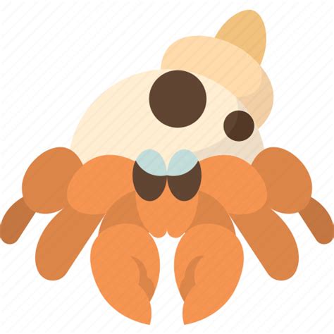 Crab Hermit Mollusk Beach Sea Icon Download On Iconfinder