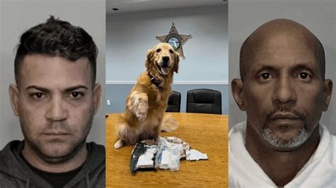 Florida Man Arrested On Multiple Drug Charges Following Traffic Stop