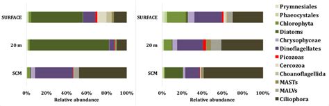 4 Relative Abundance Of The Small Fraction Major Taxa 1 Of Total
