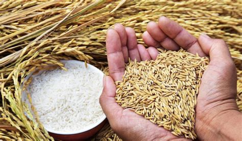 Symptoms Of Carbohydrate Deficiency