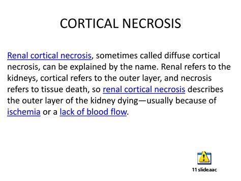 Interstitial Nephritis And Cortical Necrosis Pptx
