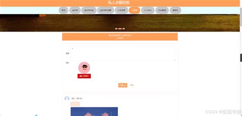 Java计算机毕业设计私人衣橱定制（开题程序论文） Csdn博客