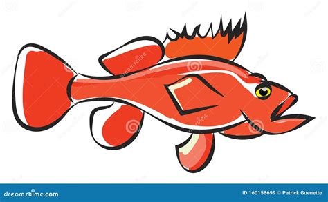 Clipart Of Orange Colored Marine Fish Sea Bass Vector Or Color