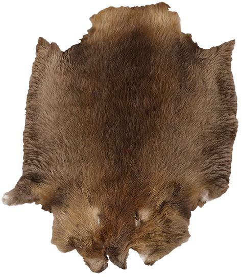 John Jacob Astors Beaver Pelt Warehouse 13 Artifact Database Wiki