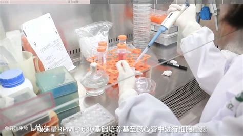 实验操作：transwell细胞迁移实验，精细教程包学包会！ 哔哩哔哩