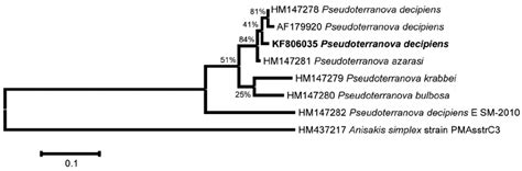 Phylogenetic Tree Based On The Maximum Likelihood Of The Partial