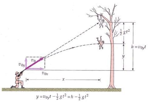 How Not To Shoot A Monkey Video Analysis Of A Classic Physics Problem