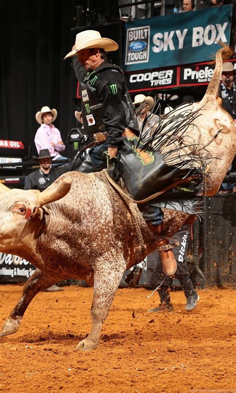 Bull Riding Wallpapers