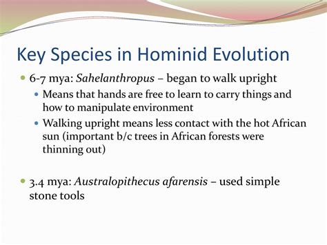 D3 Human Evolution Ppt Download