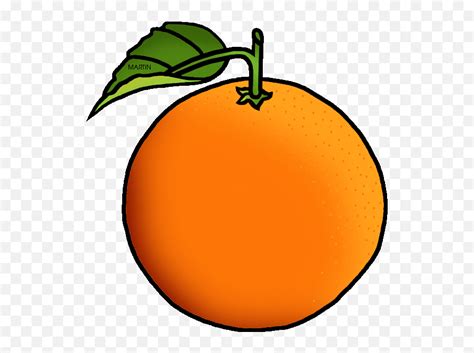 Orange Fruit Transparent