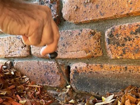 Why Is Weep Hole Drainage So Essential