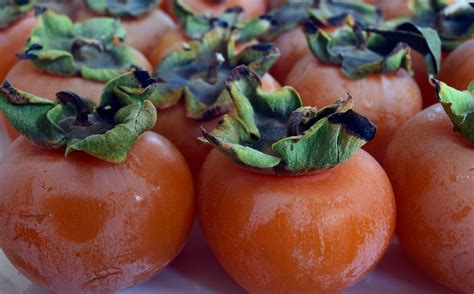 Caqui la fruita de la Ribera del Xúquer