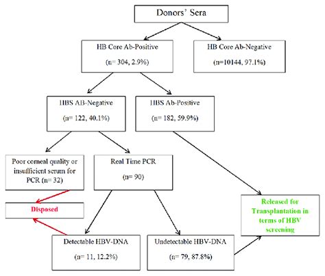 Results Of Hepatitis B Core Antibody Ab Hepatitis B Surface Ab And