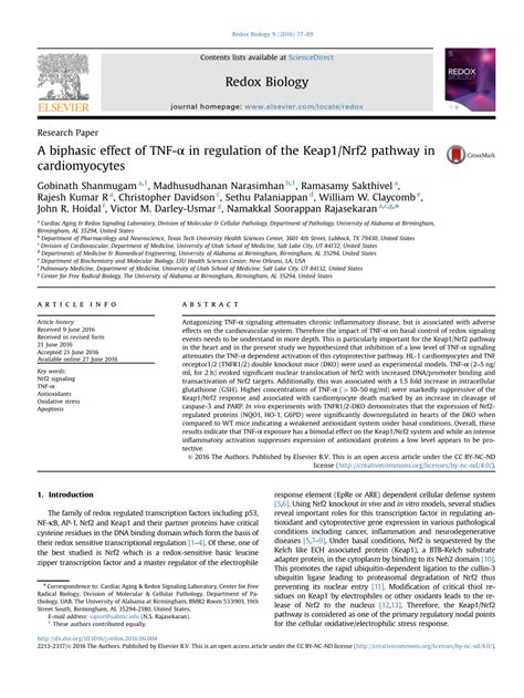 Pdf A Biphasic Effect Of Tnf α In Regulation Of The Keap1 Nrf2