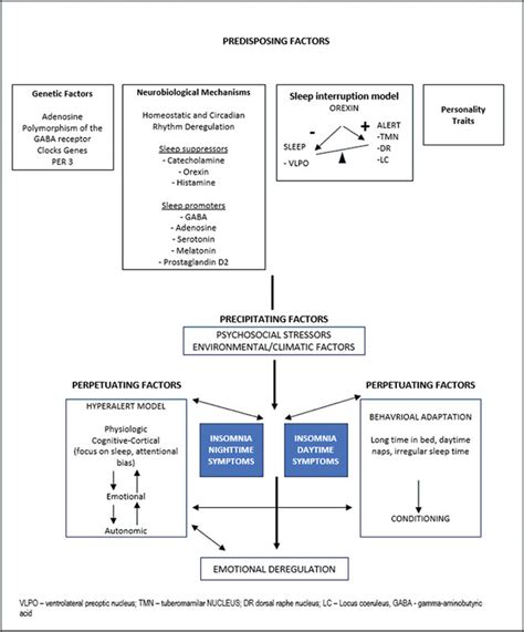 Physiopathological Model Of Insomnia Adapted From Bollu And Kaur And