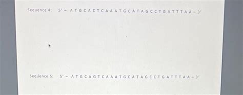 Sequence 4 5′ A T G C A C T C A A A T G C A T A G C