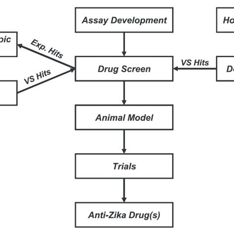 Proposed Workflow For Rapid Drug Discovery Against Zika Virus Exp Download Scientific