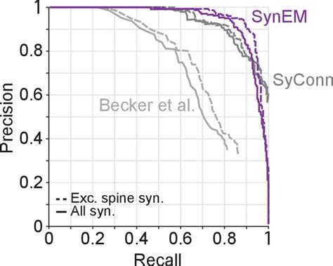 figures and data in synem automated synapse detection for connectomics