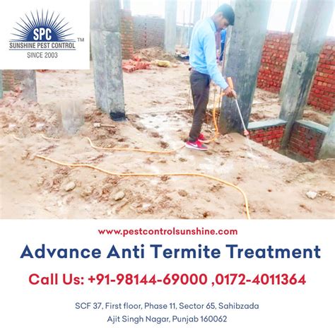 Termite Prevention From The Beginning Sunshine Pest Controlmr Arshi