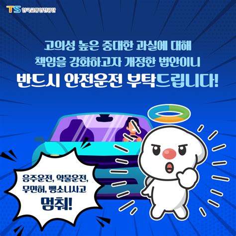 음주운전 자동차손해배상보장법 개정 자동차보험