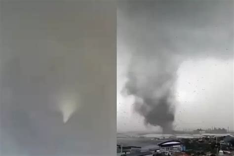 BRIN Bilang Tornado BMKG Sebut Puting Beliung Warganet Jadi Bingung Dengan Fenomena Angin