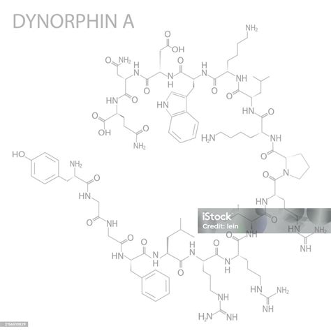 Dynorphin A 분자 골격 화학식 3차원 형태에 대한 스톡 벡터 아트 및 기타 이미지 3차원 형태 Drug 개념