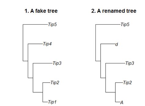 Basic Manipulations On Phylogenetic Tree With R Xianping Li