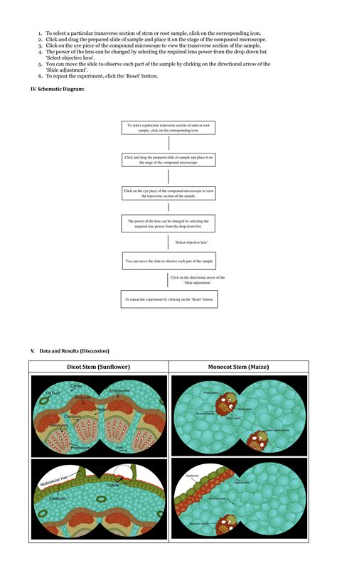 SOLUTION Characteristics Of Monocots And Dicots Worksheet Studypool