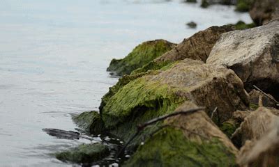 Post 140192213627 Dabasaurus Sex Tumblr Com Tumbex