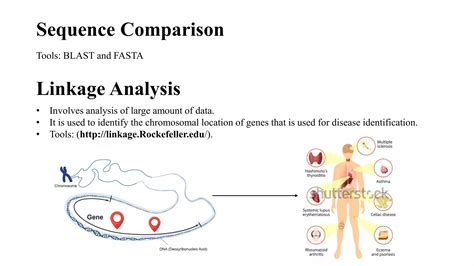 Applications Of Bioinformatics Pdf Genetics Science