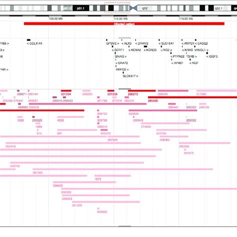 Decipher Diagram For Interval Chr1 103114239 118470102 Download Scientific Diagram